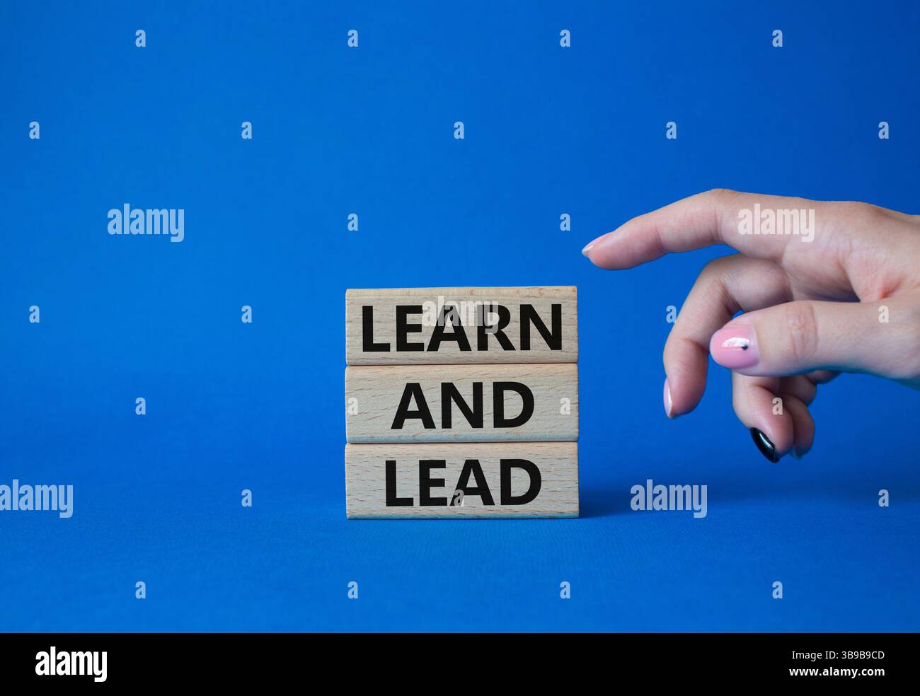 Learn and lead symbol. Concept words Learn and lead on wooden blocks ...