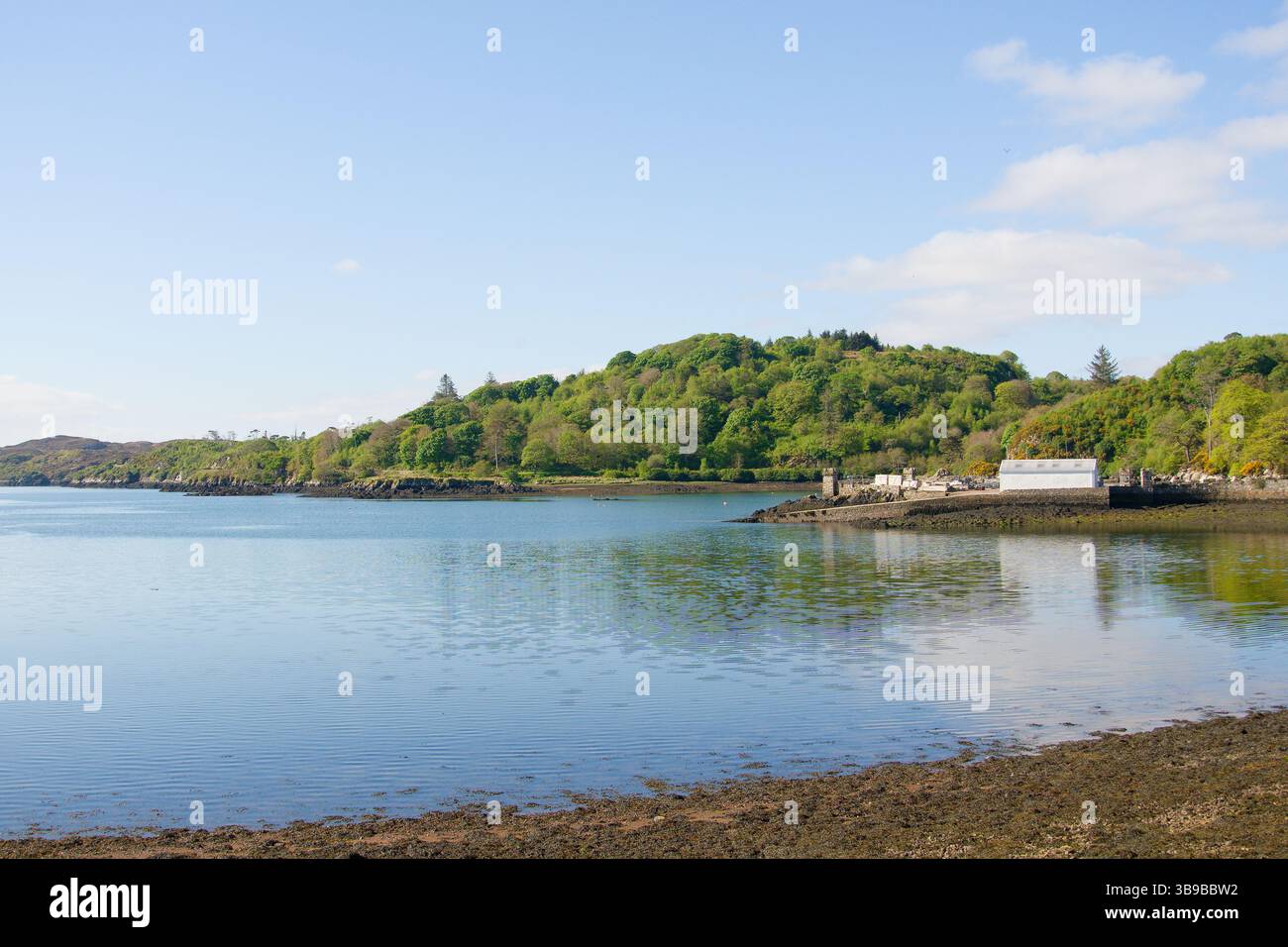 Harbor scene in Stornoway, Scotland Stock Photo - Alamy