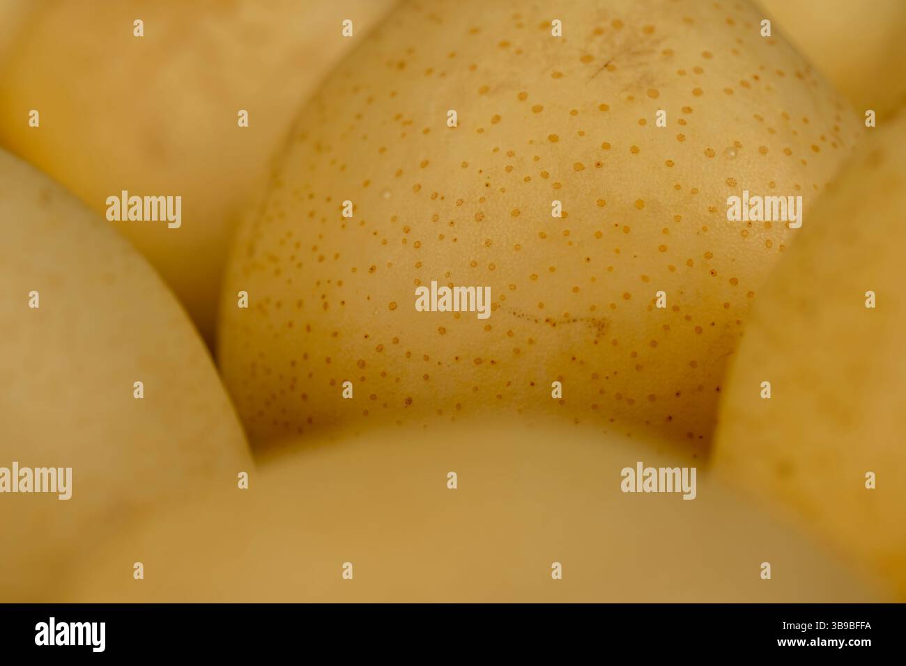 ripe pears with light skins, sweet pears of white color with spots on ...