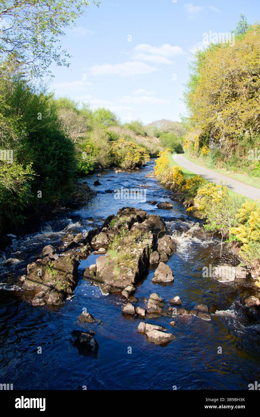 Rocks in a shallow stream Stock Photo - Alamy