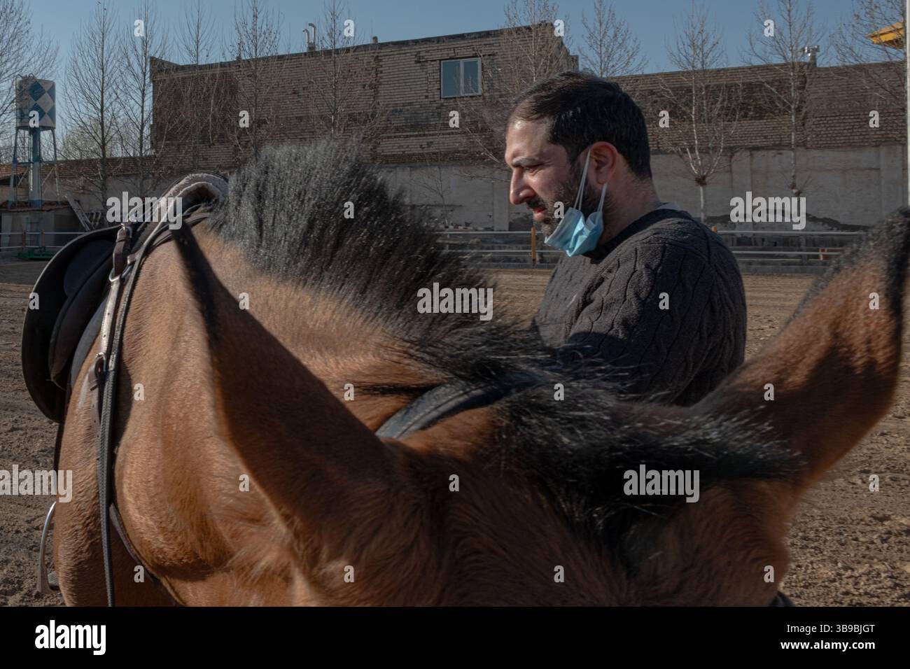 horse stable in Iran Stock Photo - Alamy