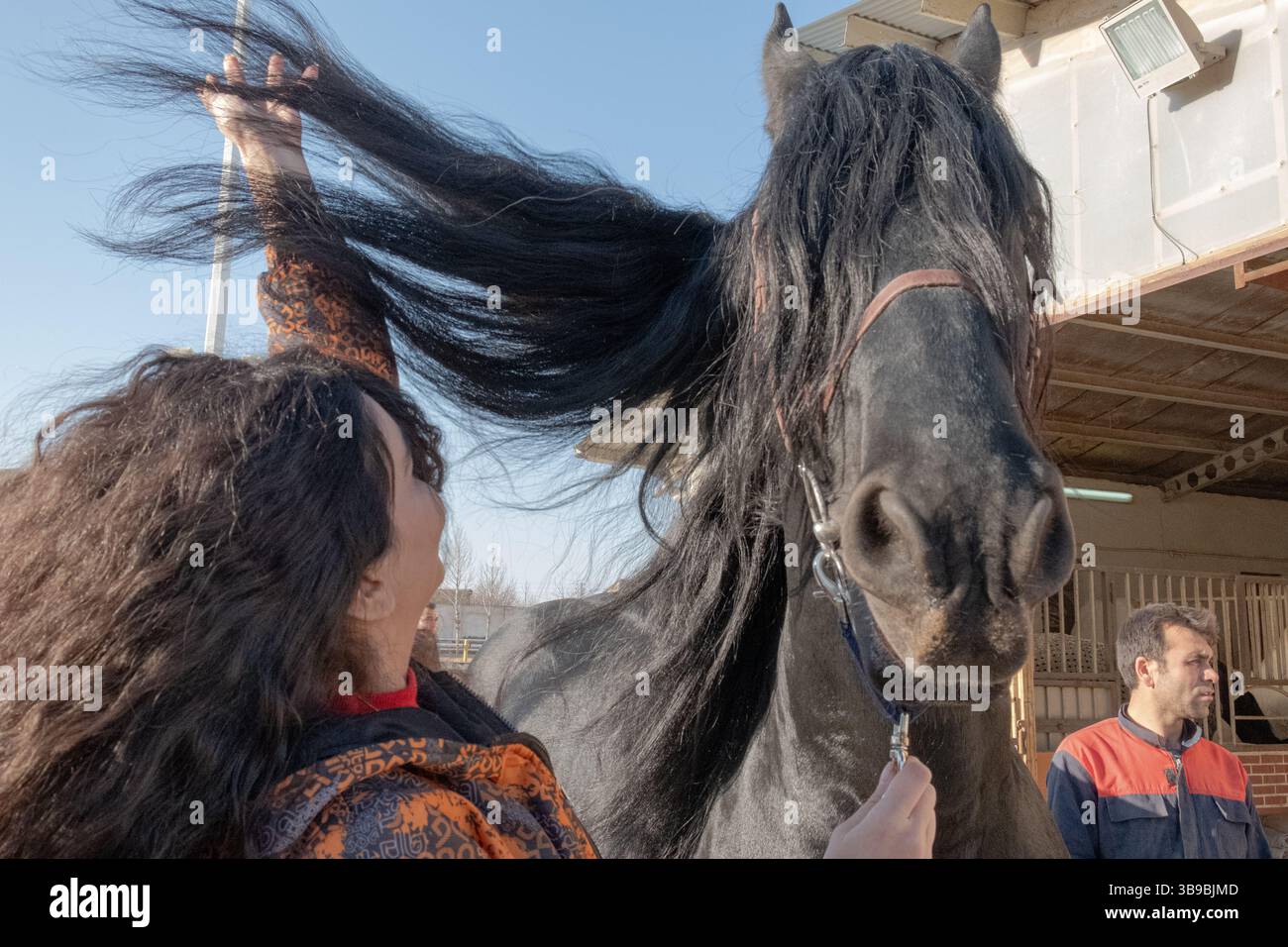 horse stable in Iran Stock Photo - Alamy
