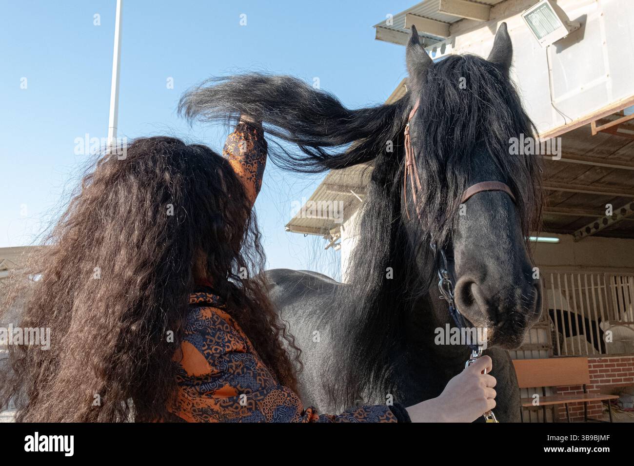 horse stable in Iran Stock Photo - Alamy