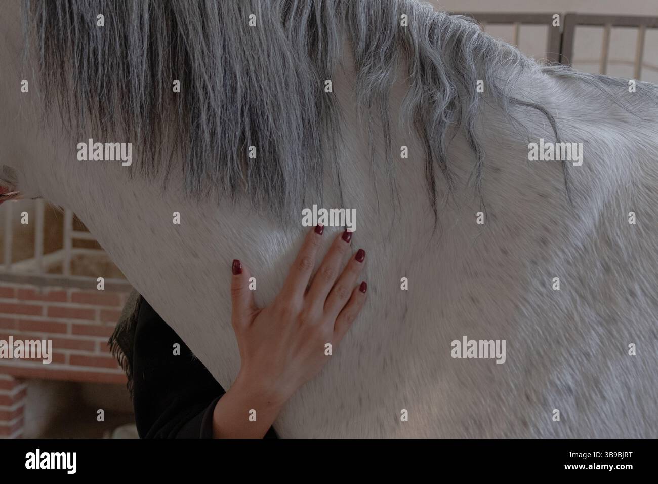 horse stable in Iran Stock Photo - Alamy