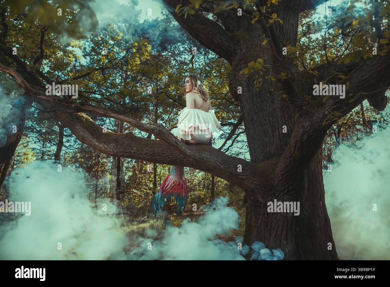 Mermaid capture hi-res stock photography and images - Alamy