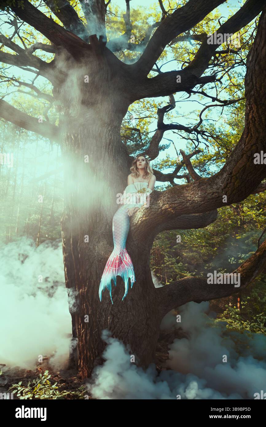 A fantasy-style photo of a mermaid perched on a large tree surrounded ...