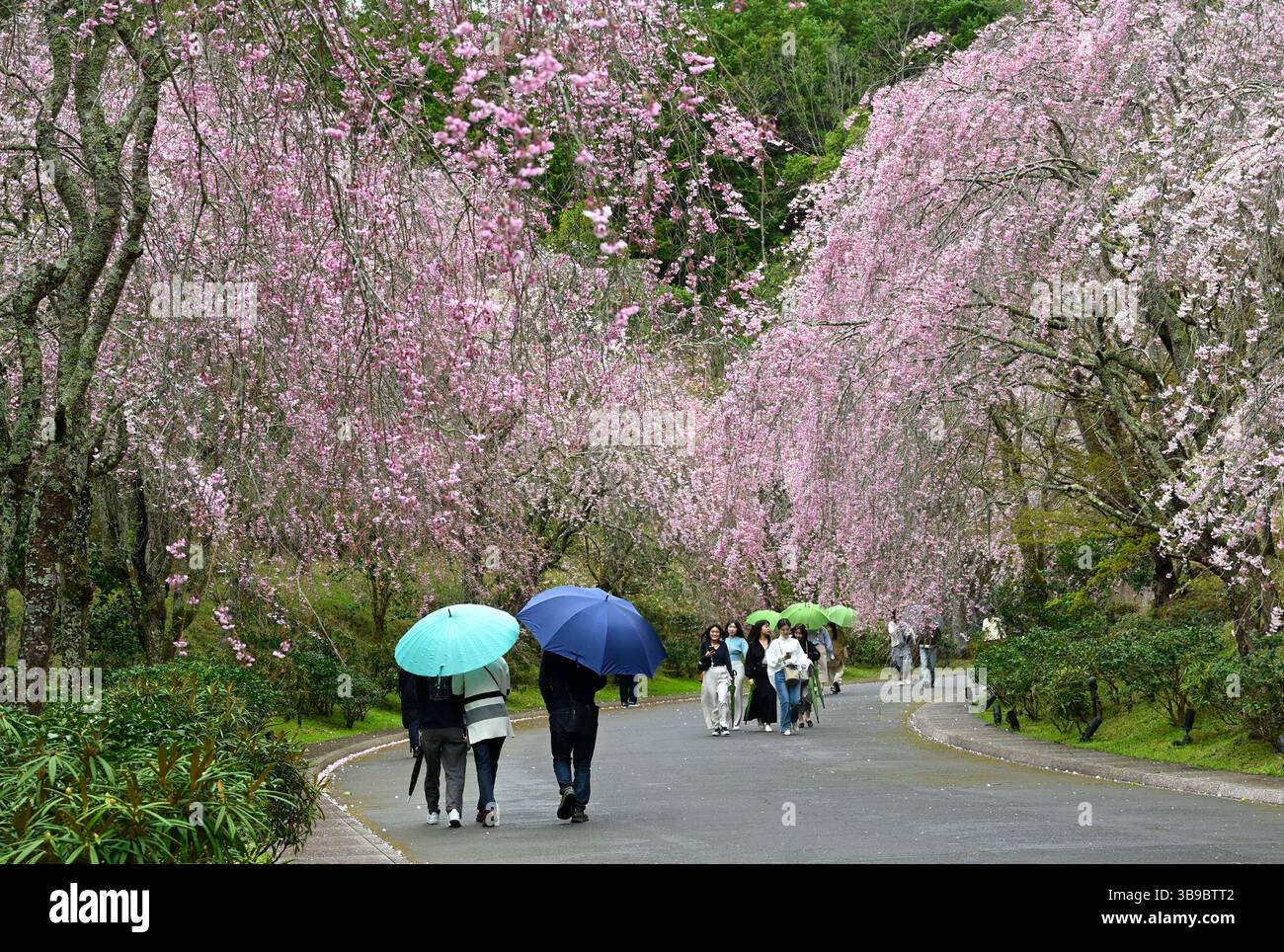 Miho Museum designed by architect I.M .Pei located southeast of Kyoto, in the Shigaraki ...