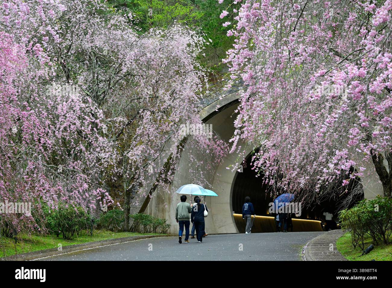 Miho Museum designed by architect I.M .Pei located southeast of Kyoto ...
