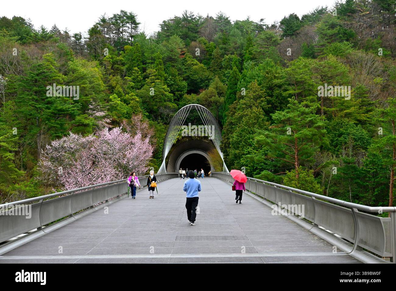 Miho Museum designed by architect I.M .Pei located southeast of Kyoto ...