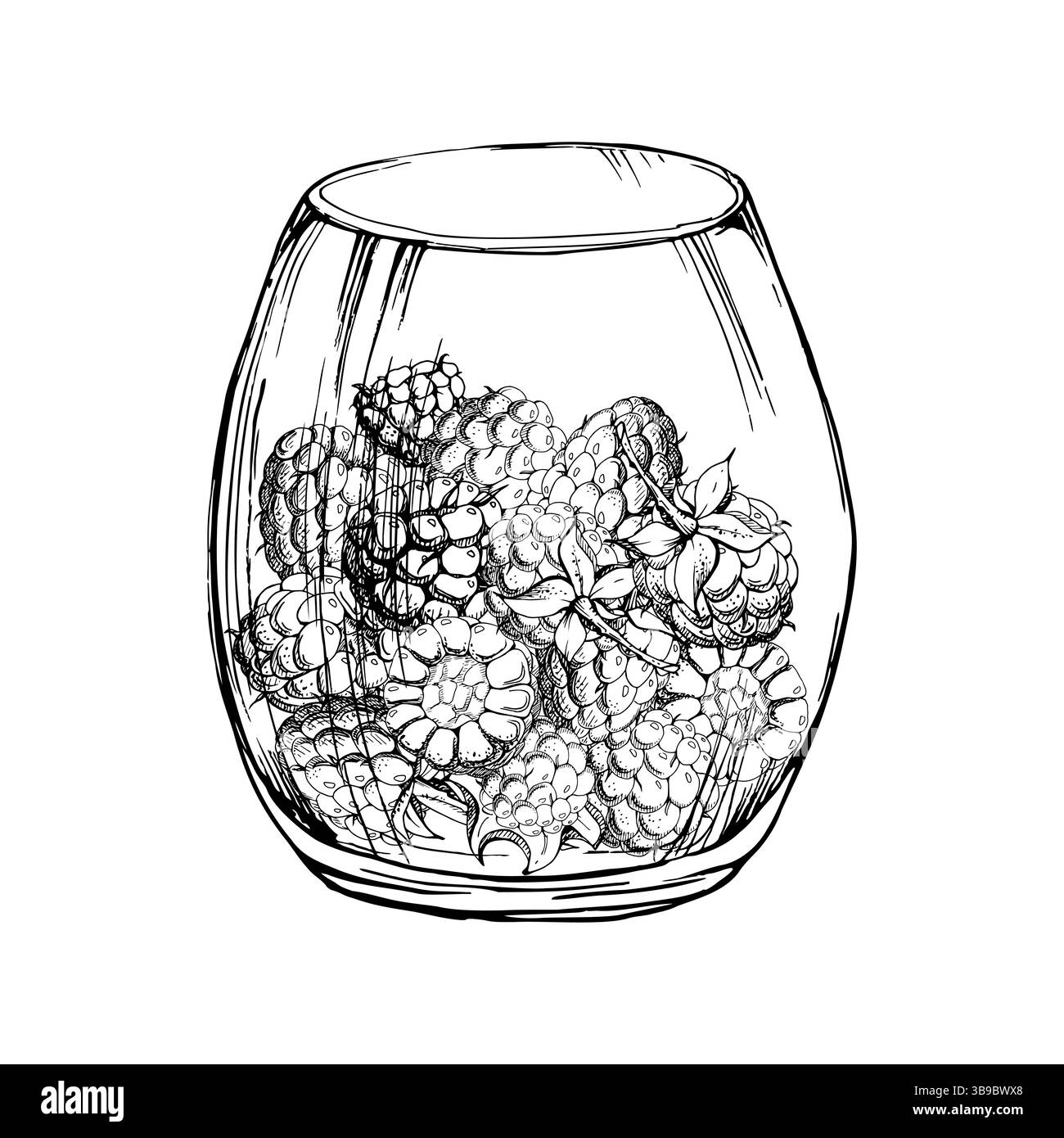 Tayberry fruit Stock Vector Images - Alamy