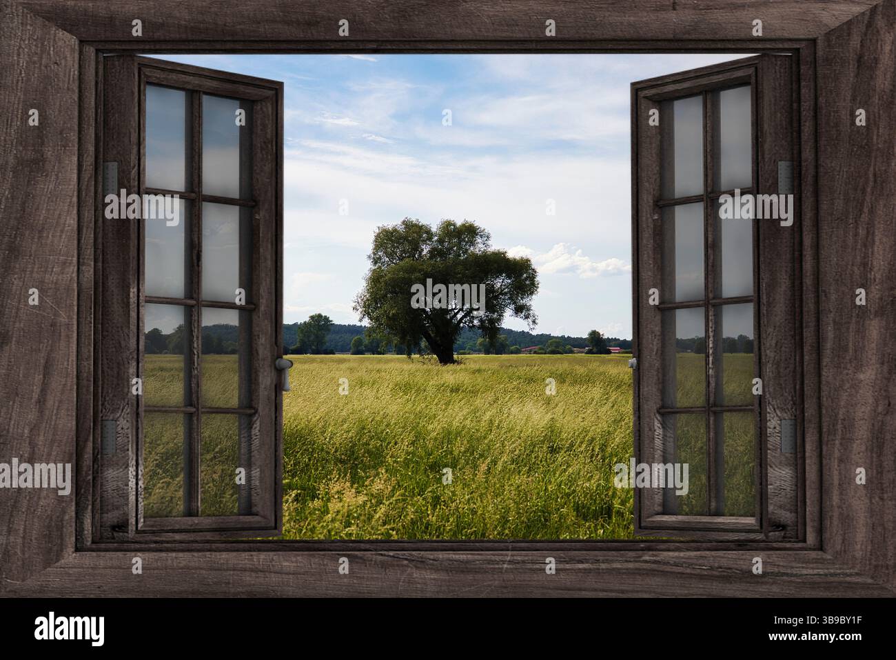 Peaceful tranquil view vibrant green hi-res stock photography and ...