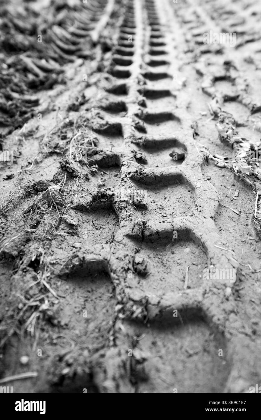 Close up textured white surface Black and White Stock Photos & Images ...