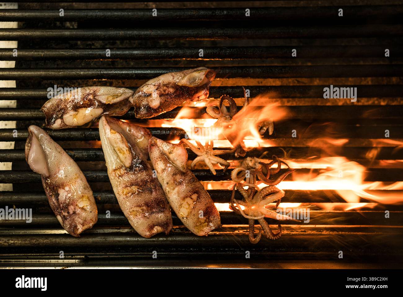 Fire squid hi-res stock photography and images - Alamy