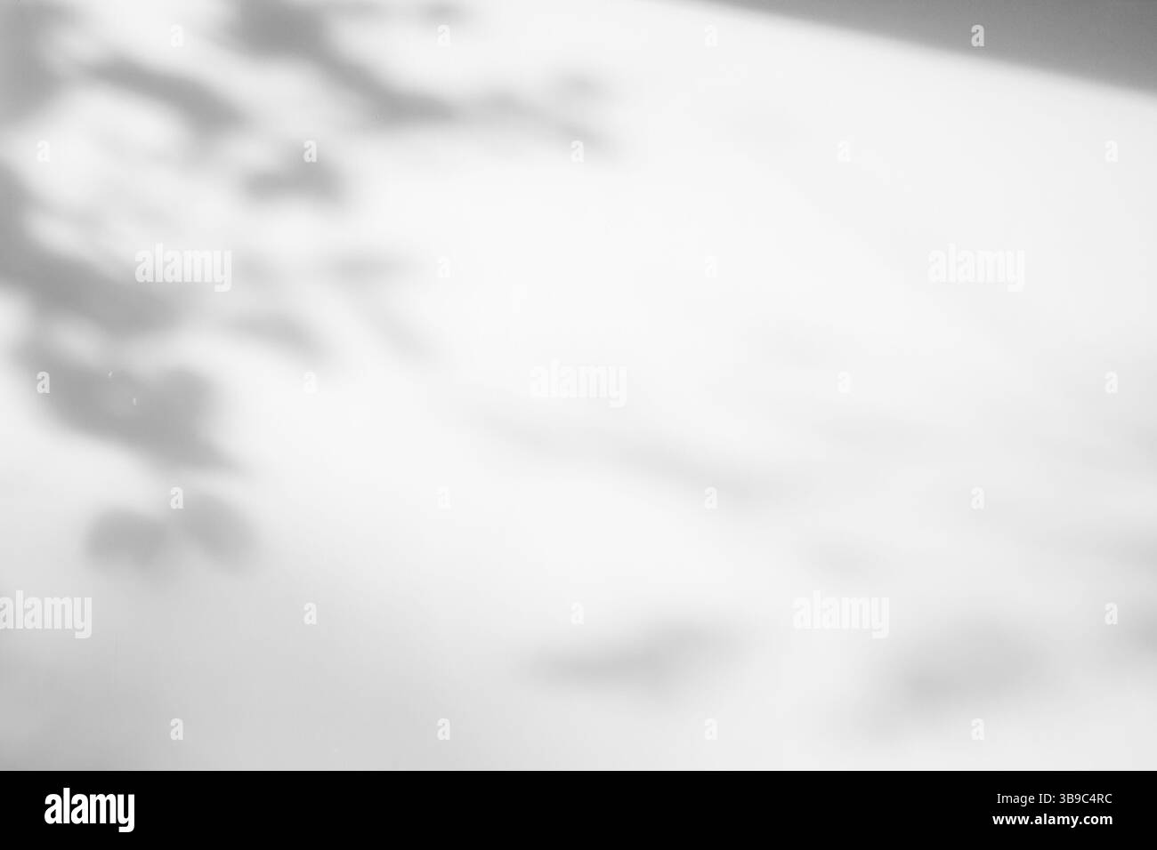 Abstract natural tree leaves shadow on white wall background Stock ...