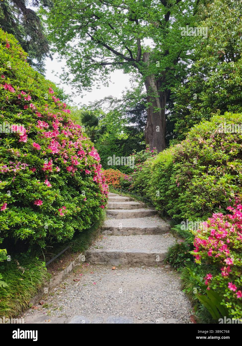 Lake como garden terrace path hi-res stock photography and images - Alamy