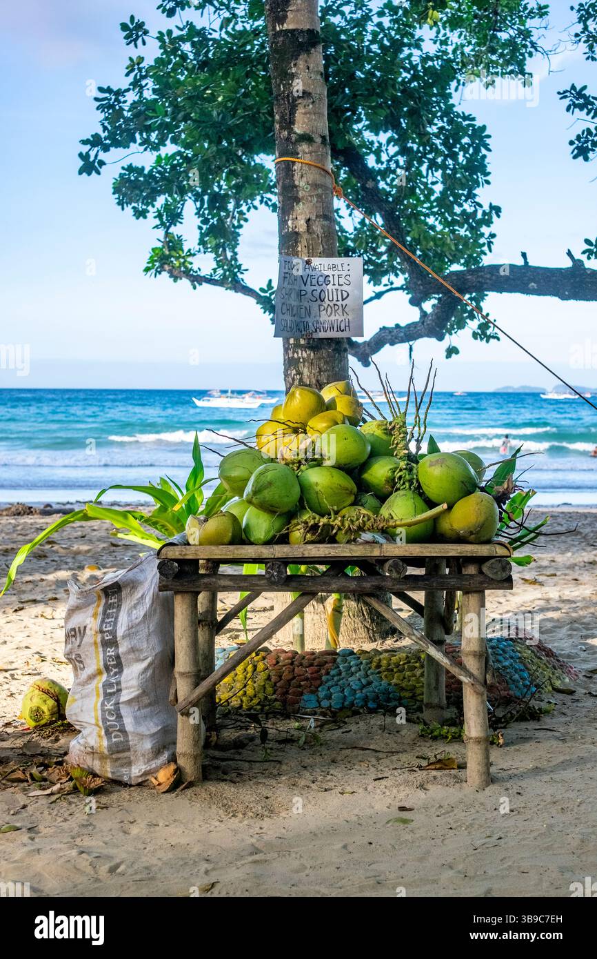 Raw coconuts on table on the beach in the Philippines Stock Photo - Alamy