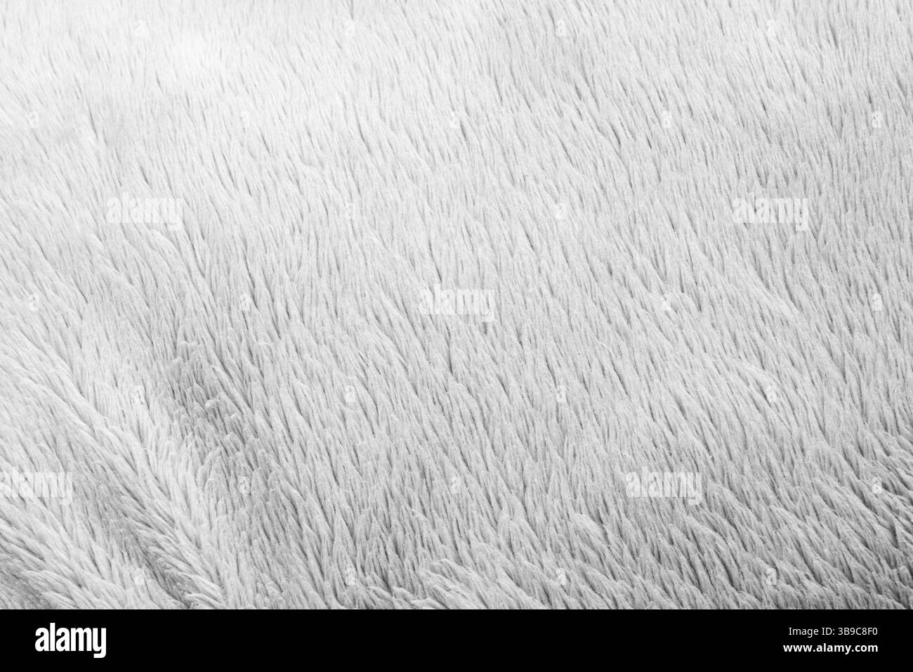 White sheepskin texture soft Black and White Stock Photos & Images - Alamy