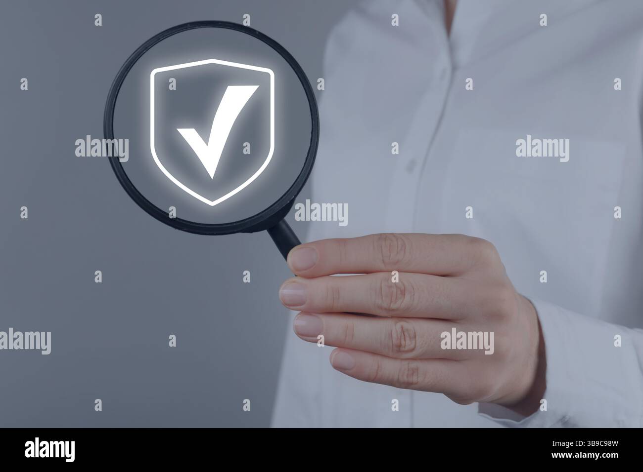 Check mark inside shield hi-res stock photography and images - Alamy