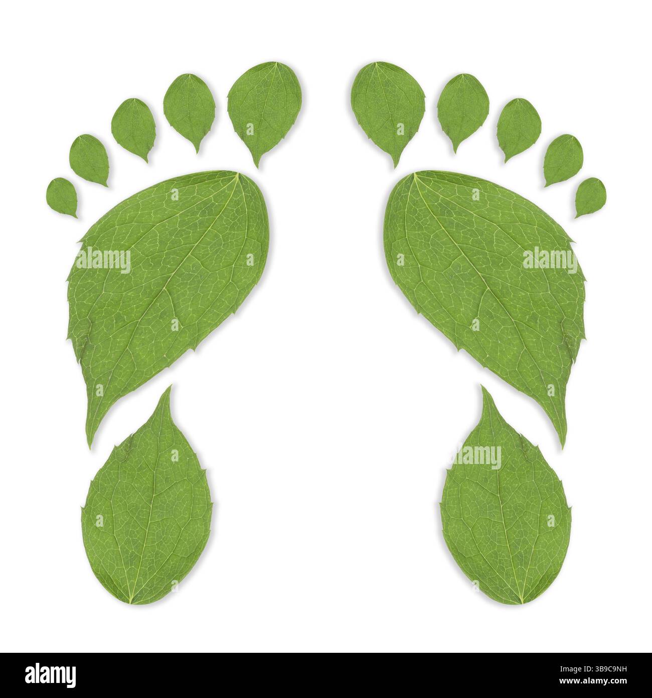 Human footprints made of green leaves on white background, top view ...