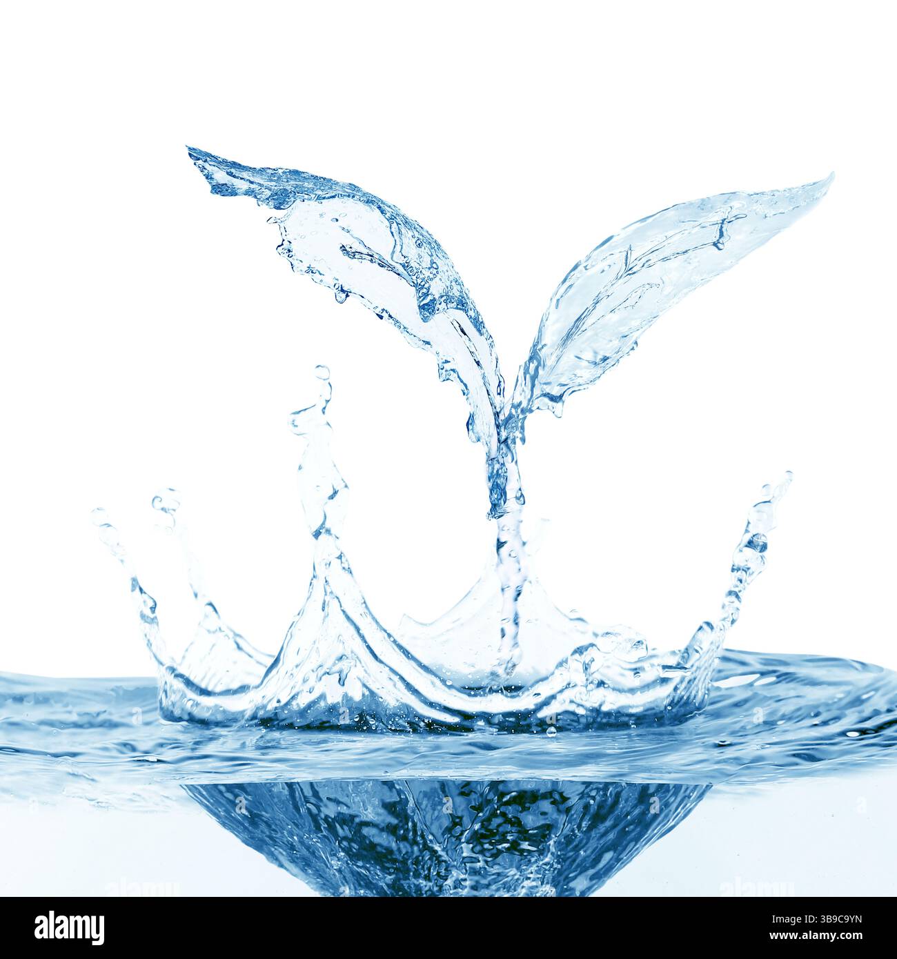 Tree leaves made of splashing water against white background Stock ...