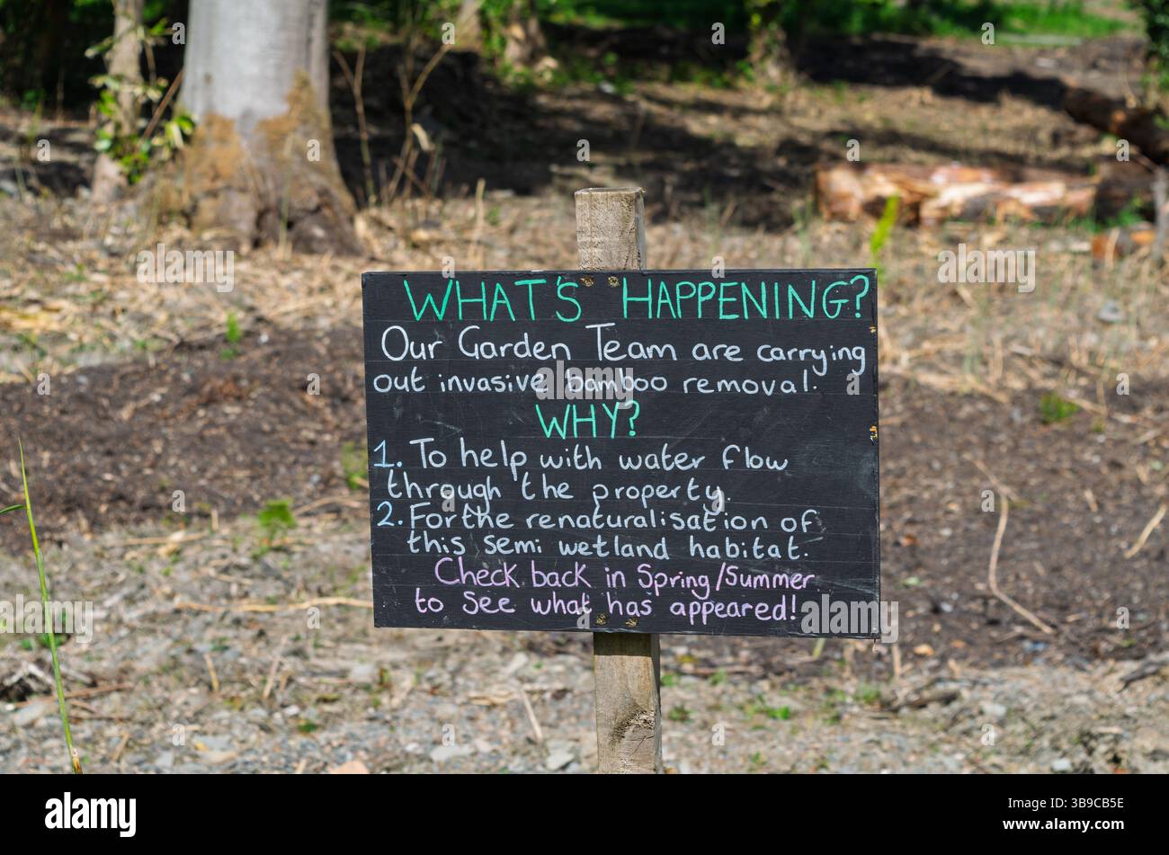 Sign informing people of the ongoing removal of invasive bamboo Stock ...