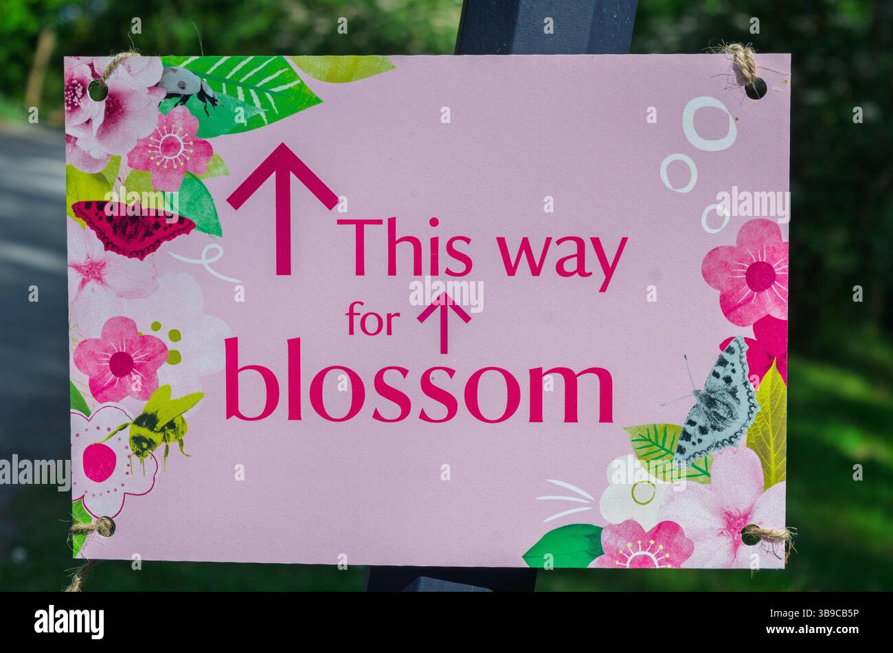 Colourful sign directing way to a rose garden in a country park Stock ...