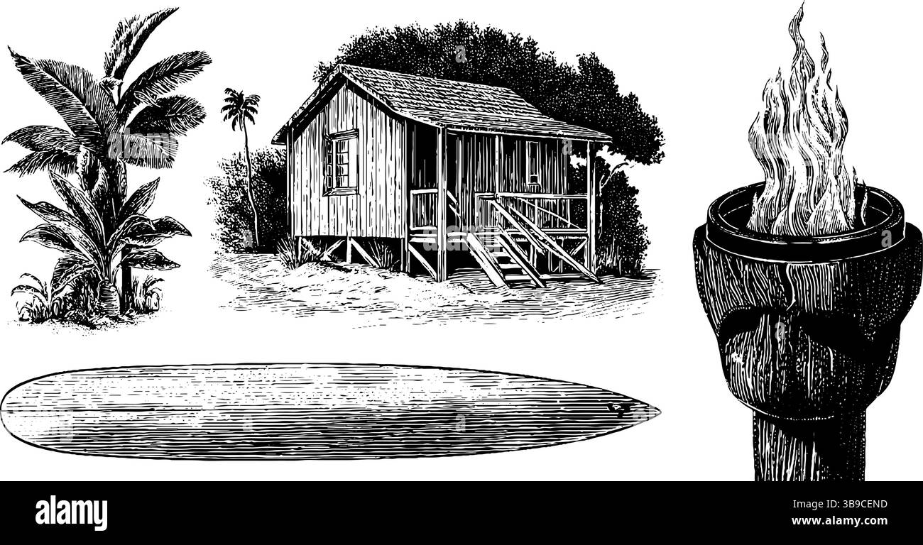 Vintage engraved beach shack and surfboard illustration set for ...