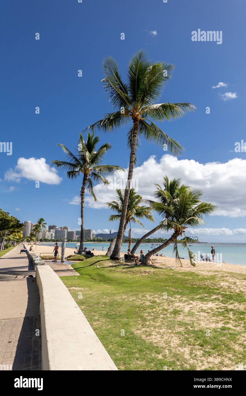 Ala Moana Beach In Honolulu Hawaii, With Palm Trees, Tourists Sun Bathe ...