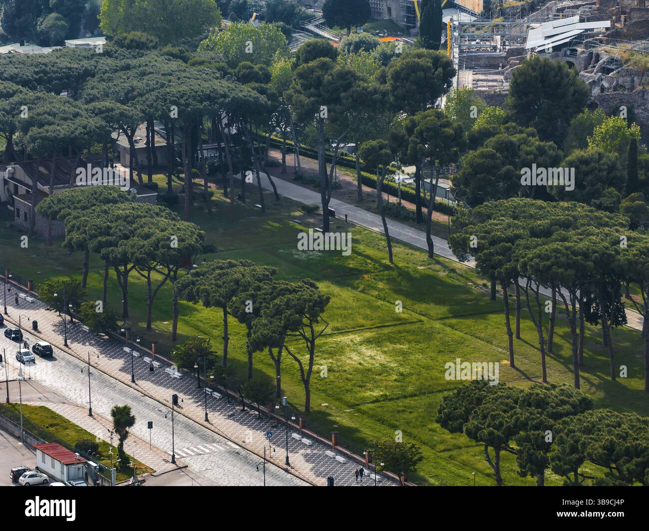 Aerial View of Park with Umbrella Pine Trees in Pompei, Italy Stock ...