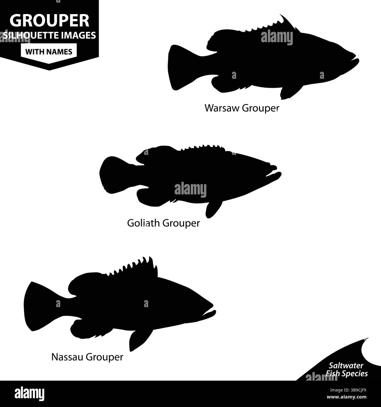 Nassau grouper fish Stock Vector Images - Alamy