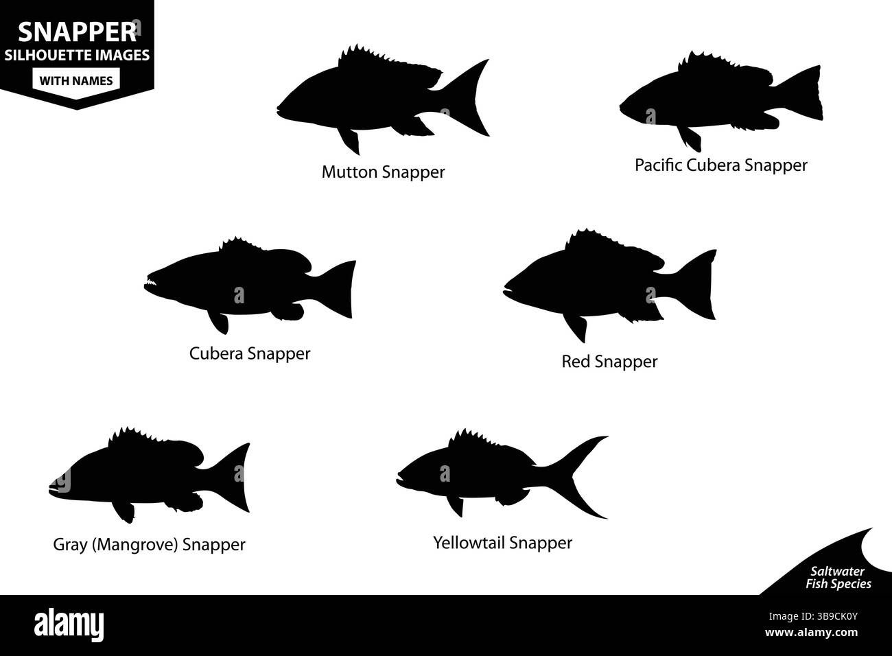 Snapper Fish Silhouette Vector Set | Mutton, Red, Cubera, Gray ...