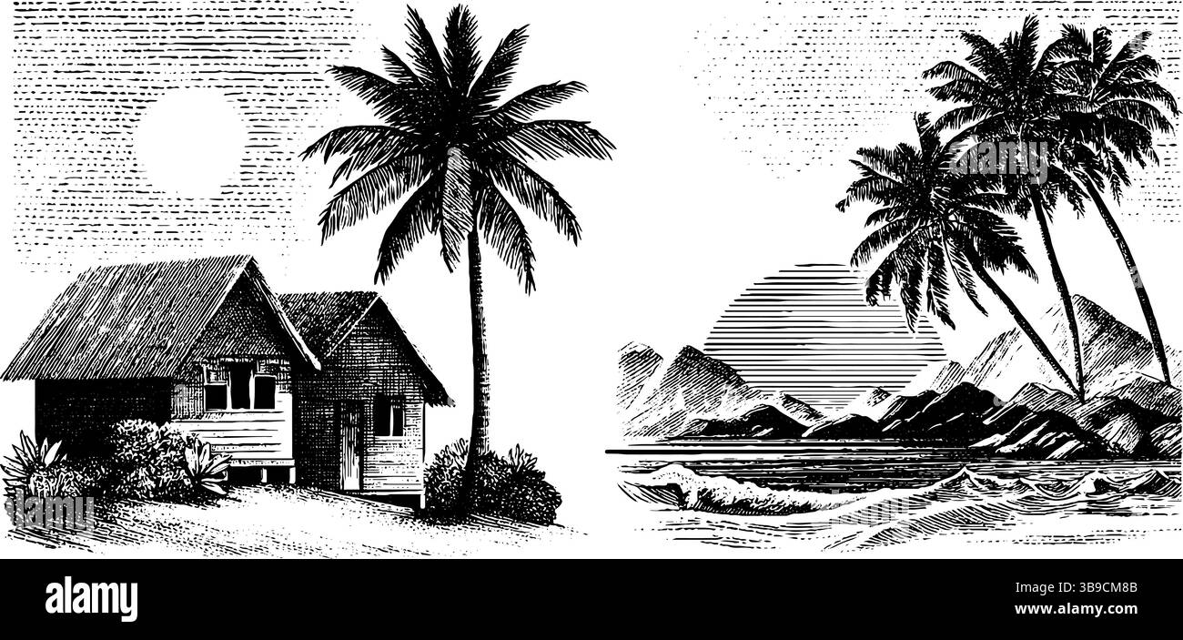 Engraved illustrations of tropical island huts and palm trees in serene ...