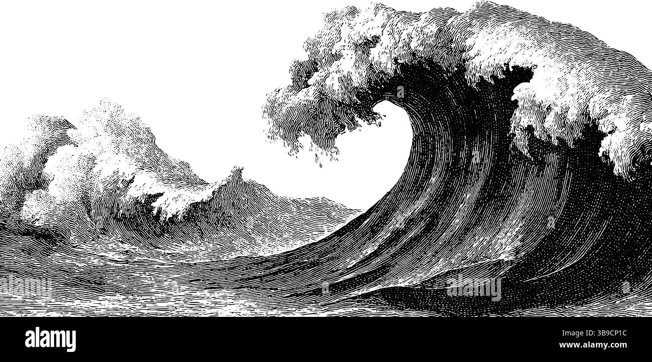 Intricate engraved illustration of a crashing ocean wave in bold black ...