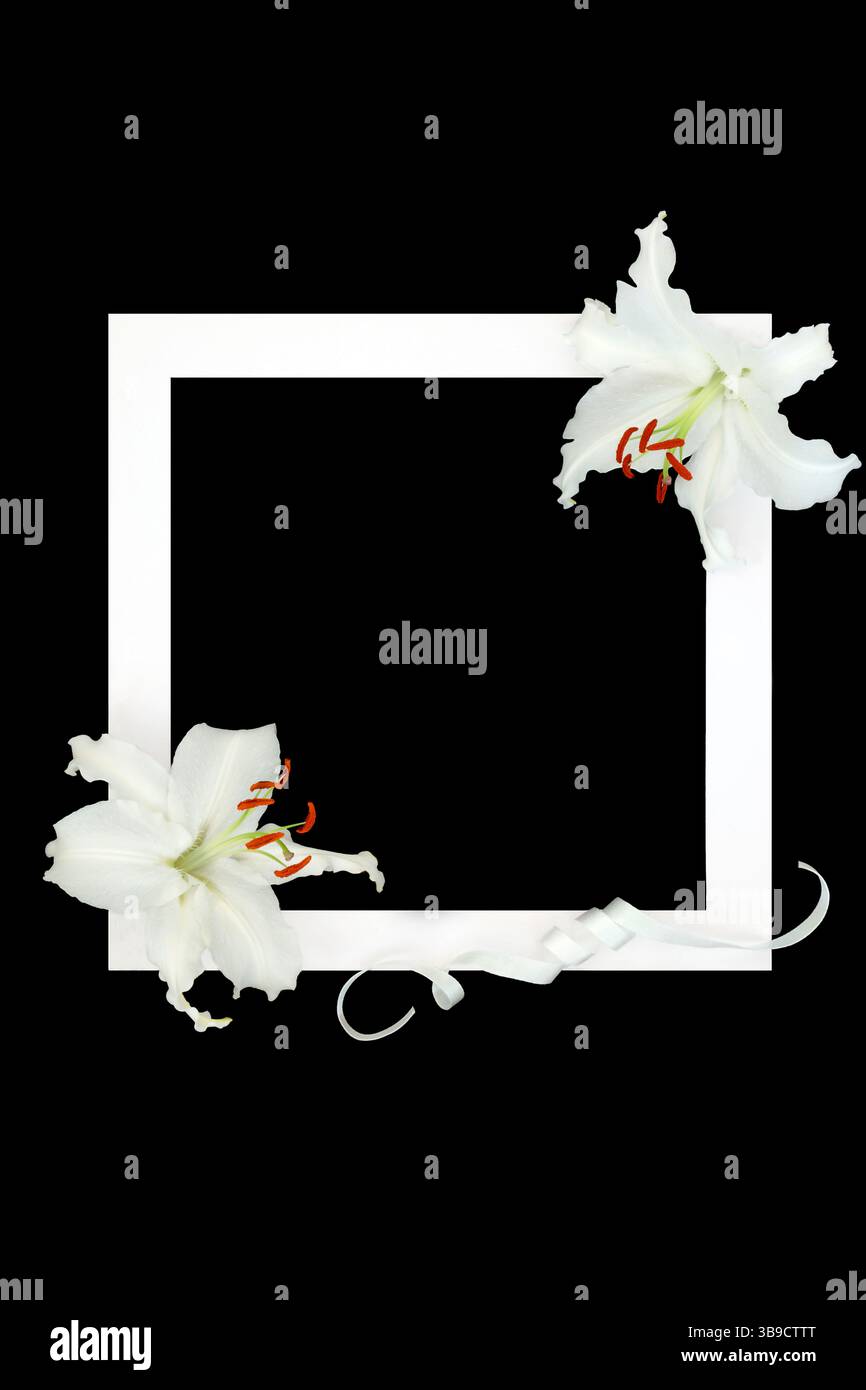 White lily flowers in deepest condolences, remembrance, order of ...