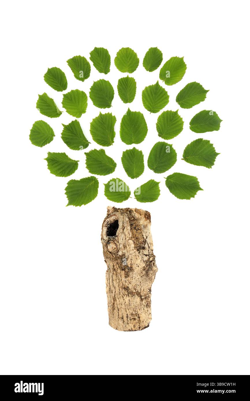 Surreal harmony Cut Out Stock Images & Pictures - Alamy