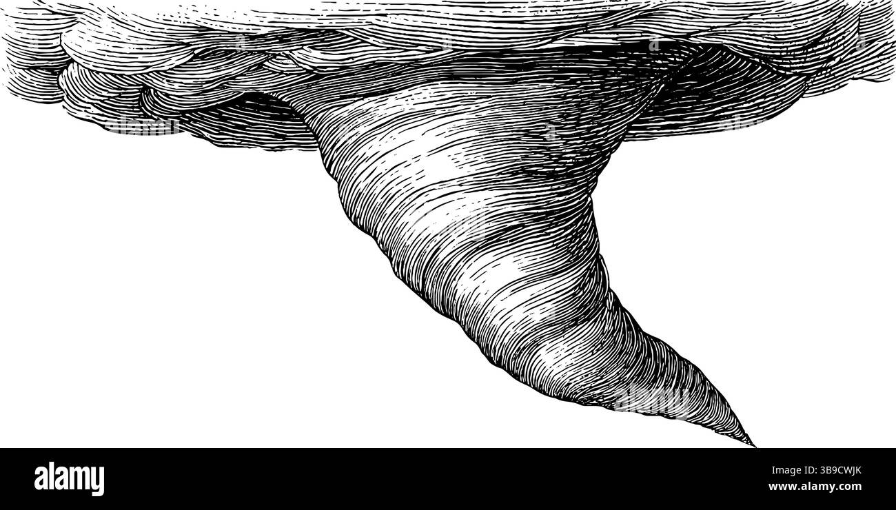 Intricate engraved cyclone illustration with bold line detail Stock ...