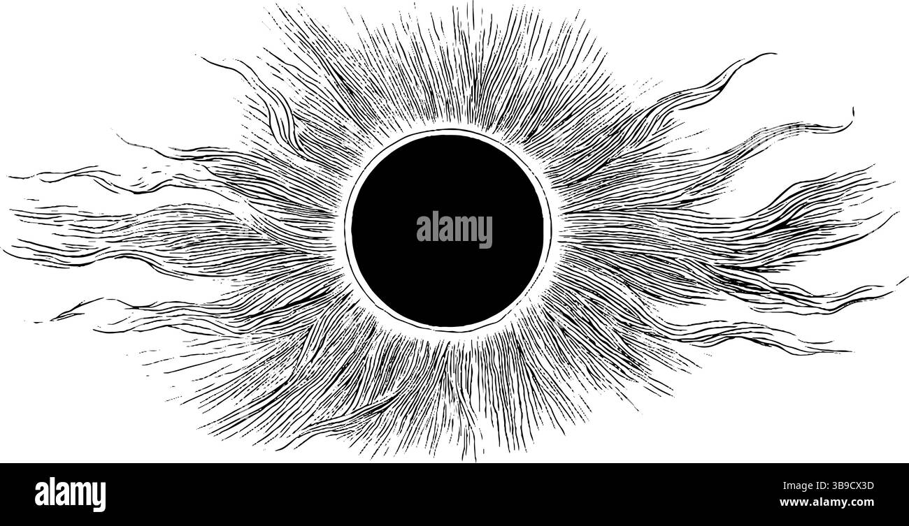 Detailed engraving of solar flare with bold black sunburst design for ...
