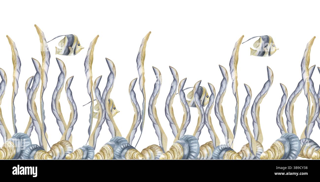 Marine life seamless border with watercolor seaweeds, shells and ...