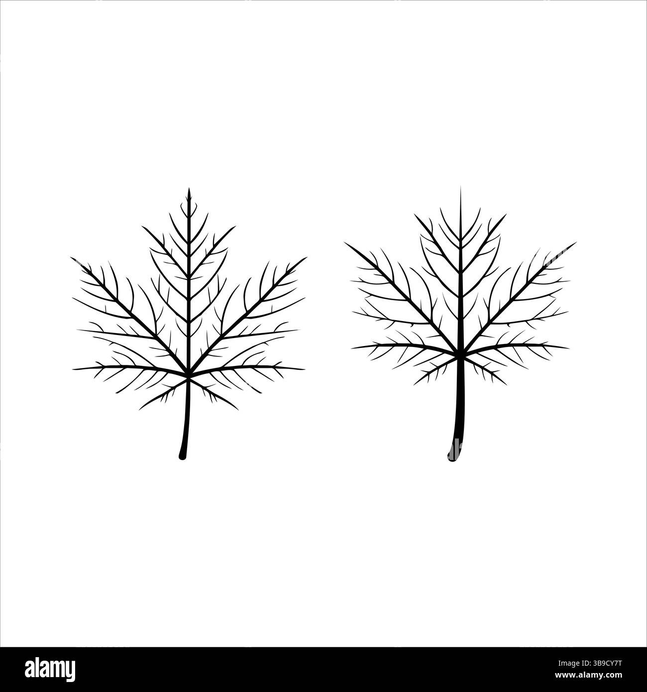 Two Maple Leaf Branches Silhouette Vector Stock Vector Image & Art - Alamy