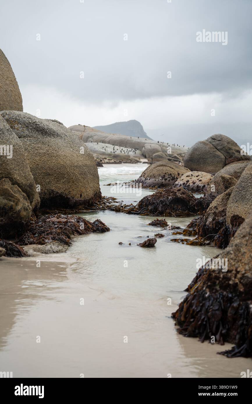 A scenic view of Boulders Beach in Cape Town, South Africa, featuring ...