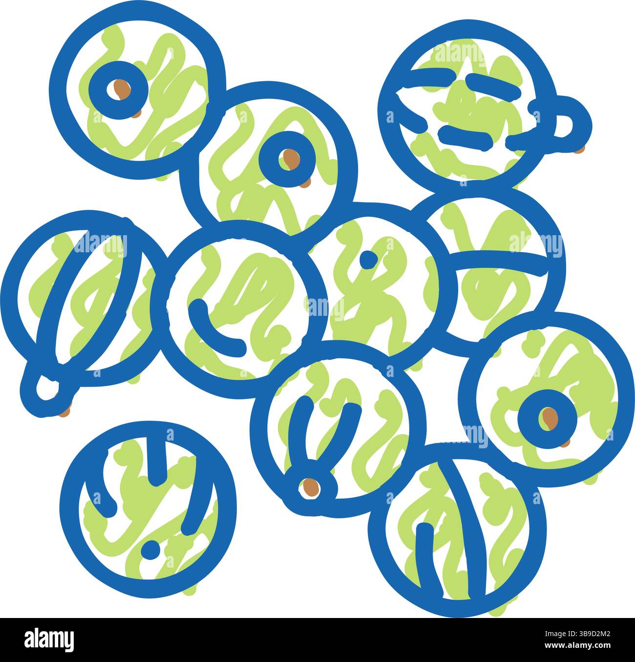 amla ayurvedic herb icon doodle illustration Stock Vector Image & Art ...