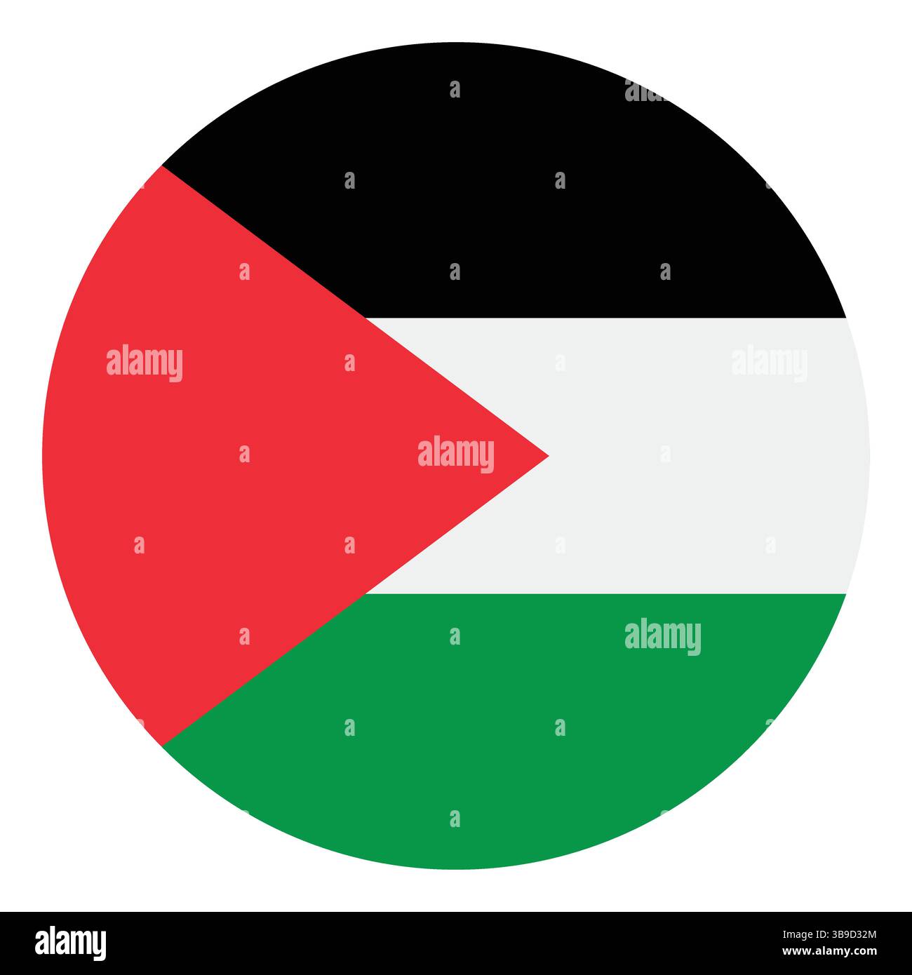 Flag of Palestine. Palestine flag. Palestine circle flag logo icon computer vector illustration ...