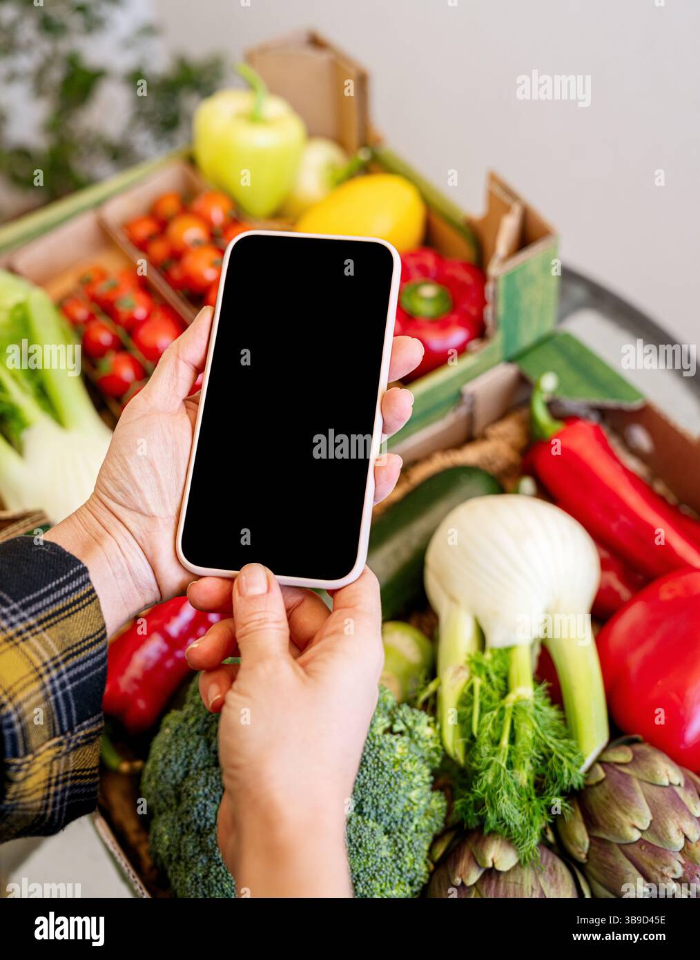 Farm worker using smartphone app to collect vegetable order. Blank ...