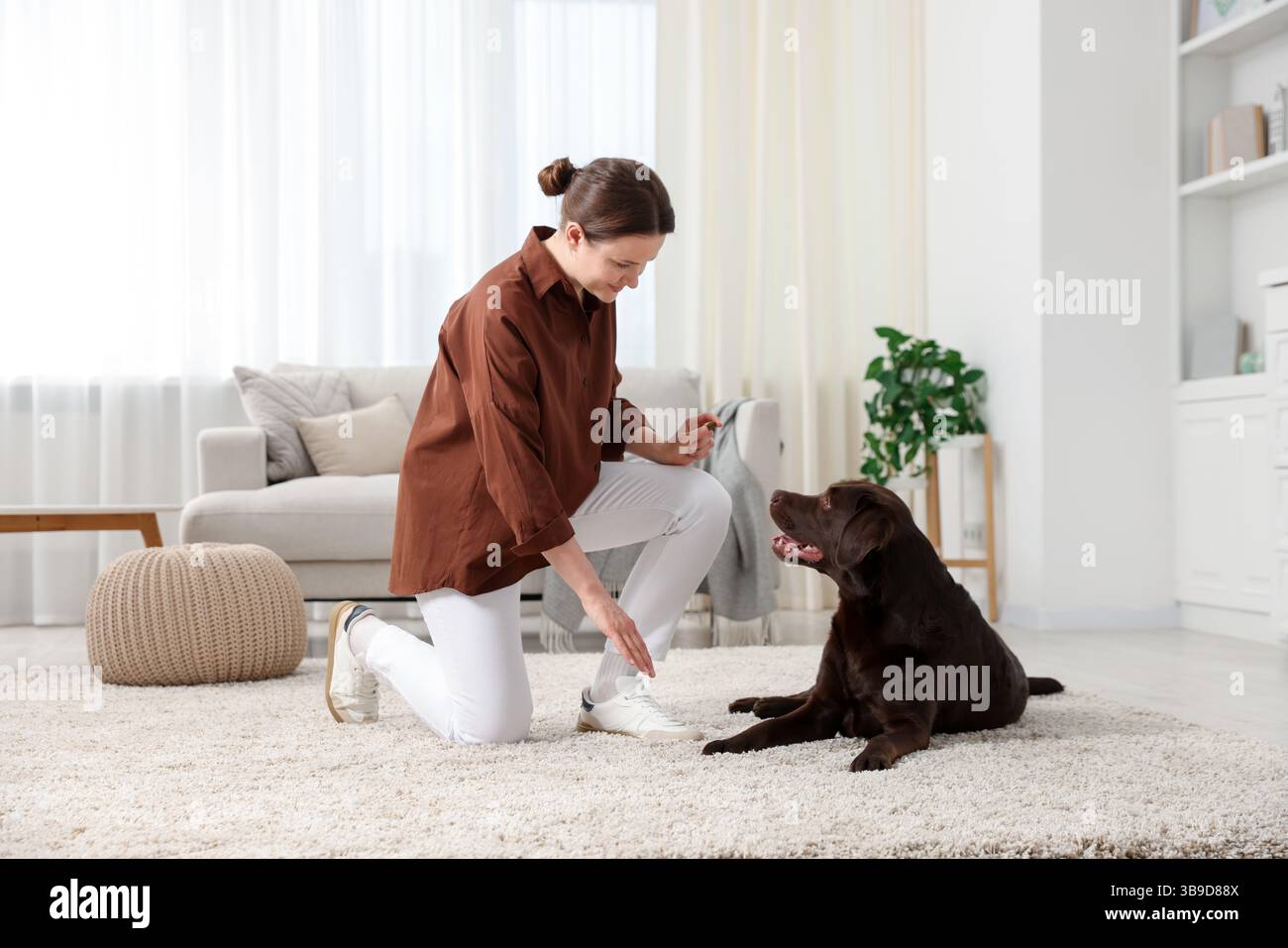 Beautiful woman training her dog at home Stock Photo - Alamy
