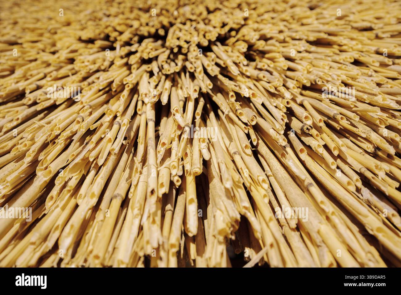 Ecological thatched roofs. Traditional straw roof is sustainable and ...