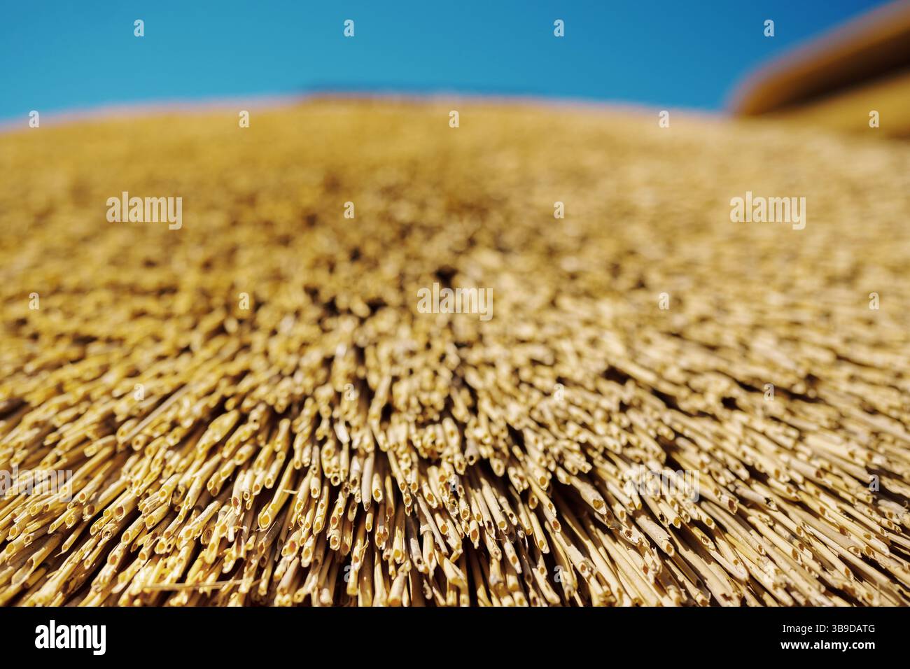 Ecological thatched roofs. Traditional straw roof is sustainable and ...