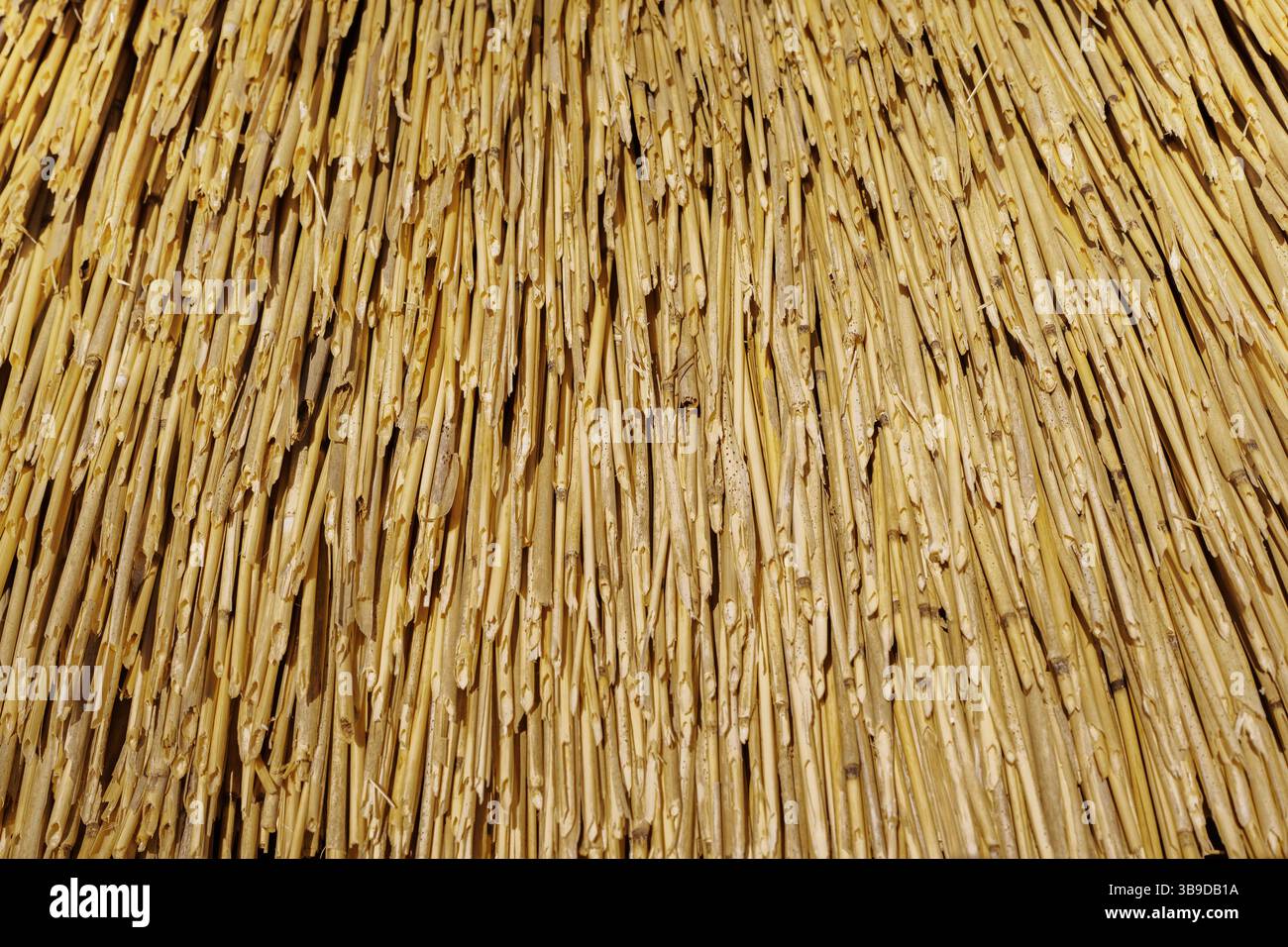 Ecological thatched roofs. Traditional straw roof is sustainable and ...