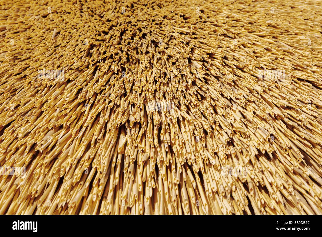 Ecological thatched roofs. Traditional straw roof is sustainable and ...