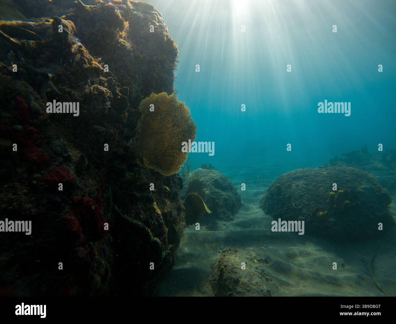 Underwater coral reef with turqoise crystal clear blue water near Saint ...