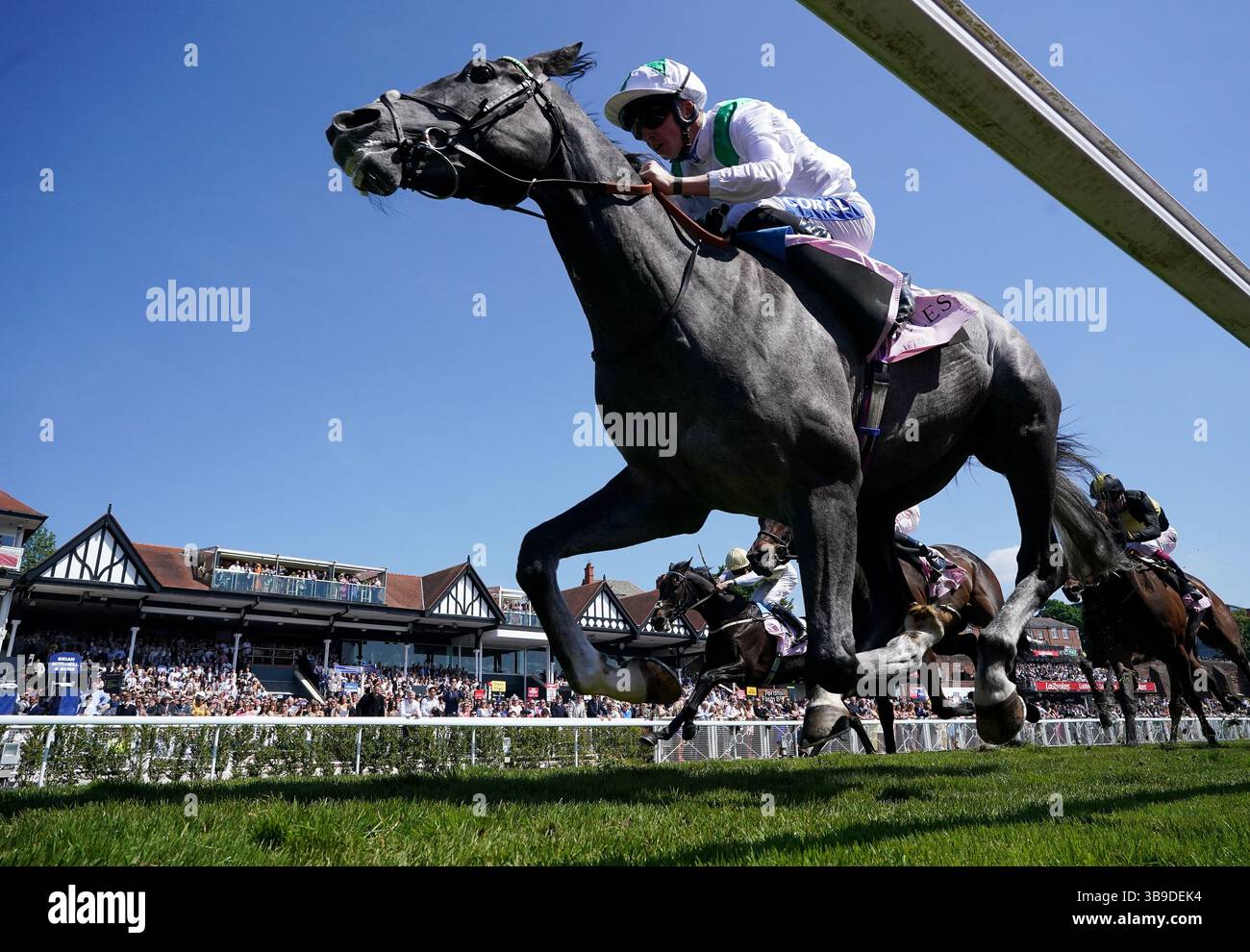 Al Wasl Storm ridden by David Probert (right) on their way to winning ...